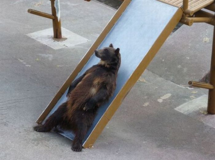 sayfa bulunamadı - uludağ sözlük galeri